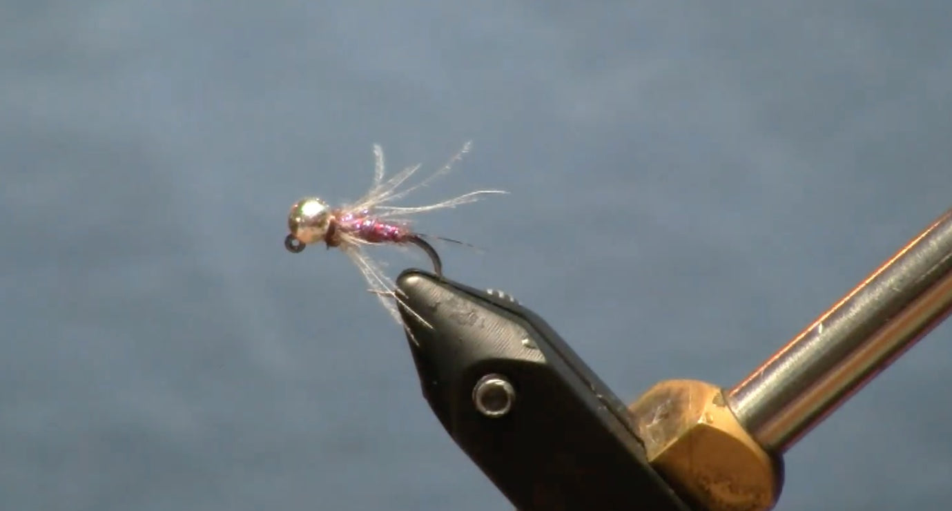 September Fly of the Month: Duracell Nymph – The Confluence Fly Shop