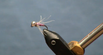 September Fly of the Month: Duracell Nymph – The Confluence Fly Shop