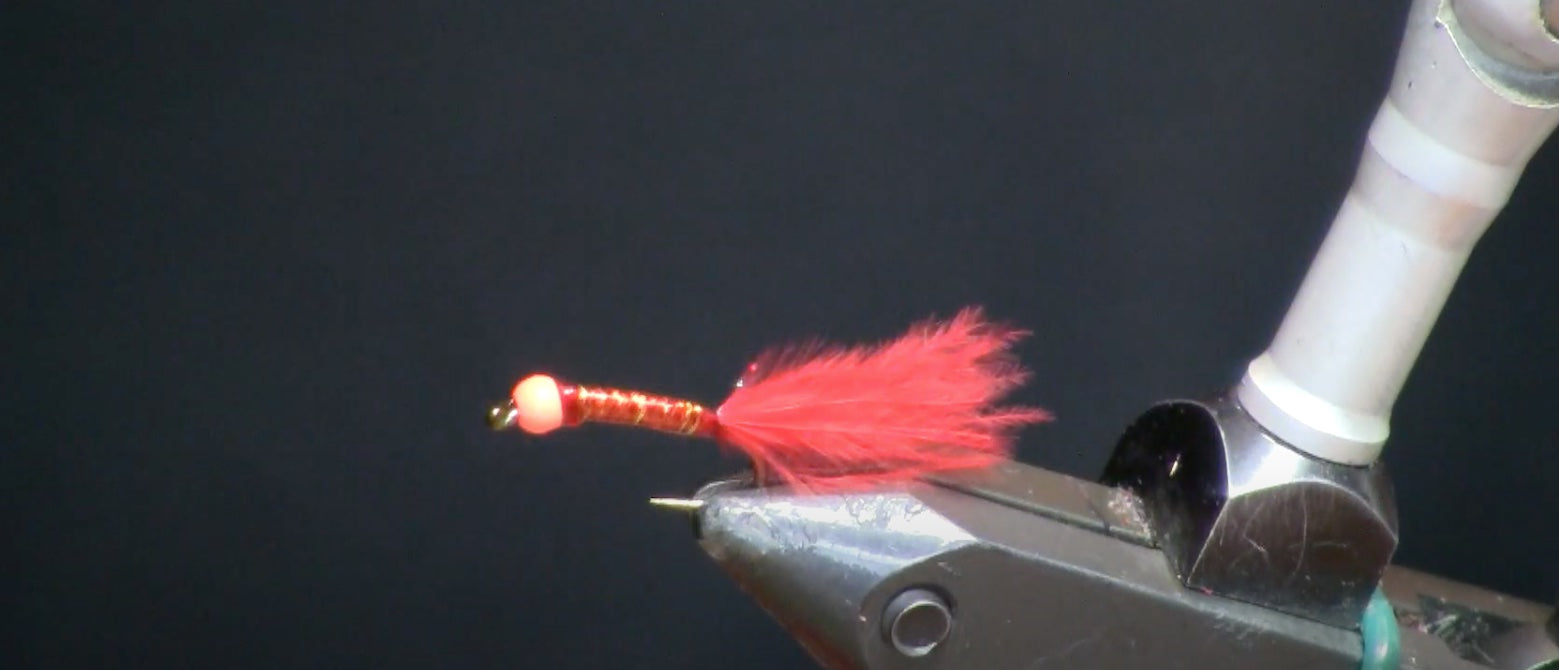 March Fly of the Month: Hot Blooded Bloodworm – The Confluence Fly Shop