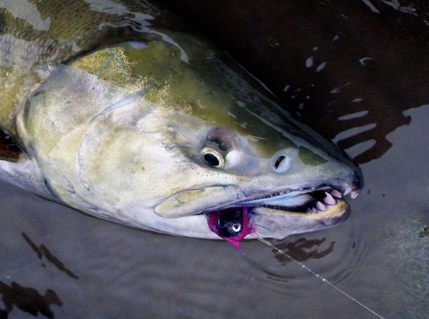 Fly Fishing Report: December 2016 – The Confluence Fly Shop